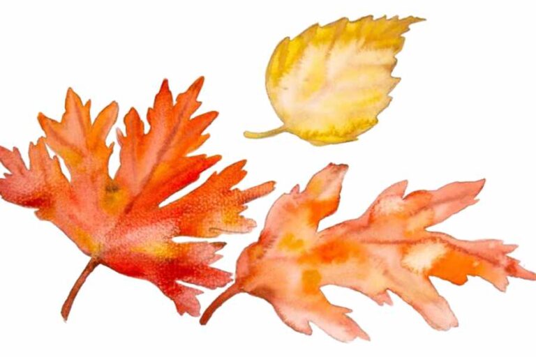 Painting Autumn Leaves With Watercolors A Beginner S Guide Urbaki Art