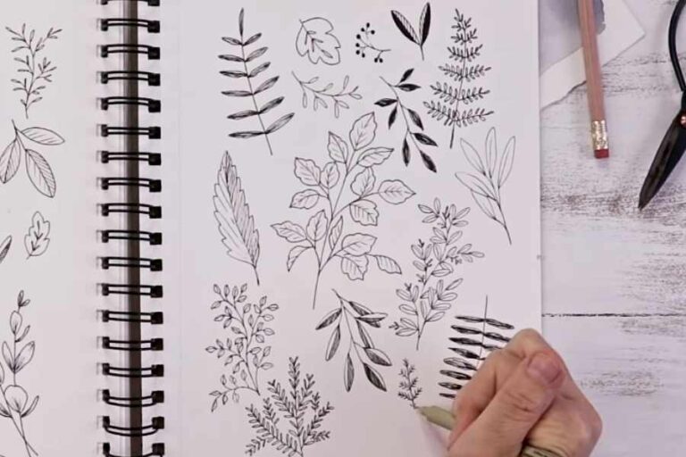 Botanical Sketching for Beginners: A Step-by-Step Guide – Urbaki Art