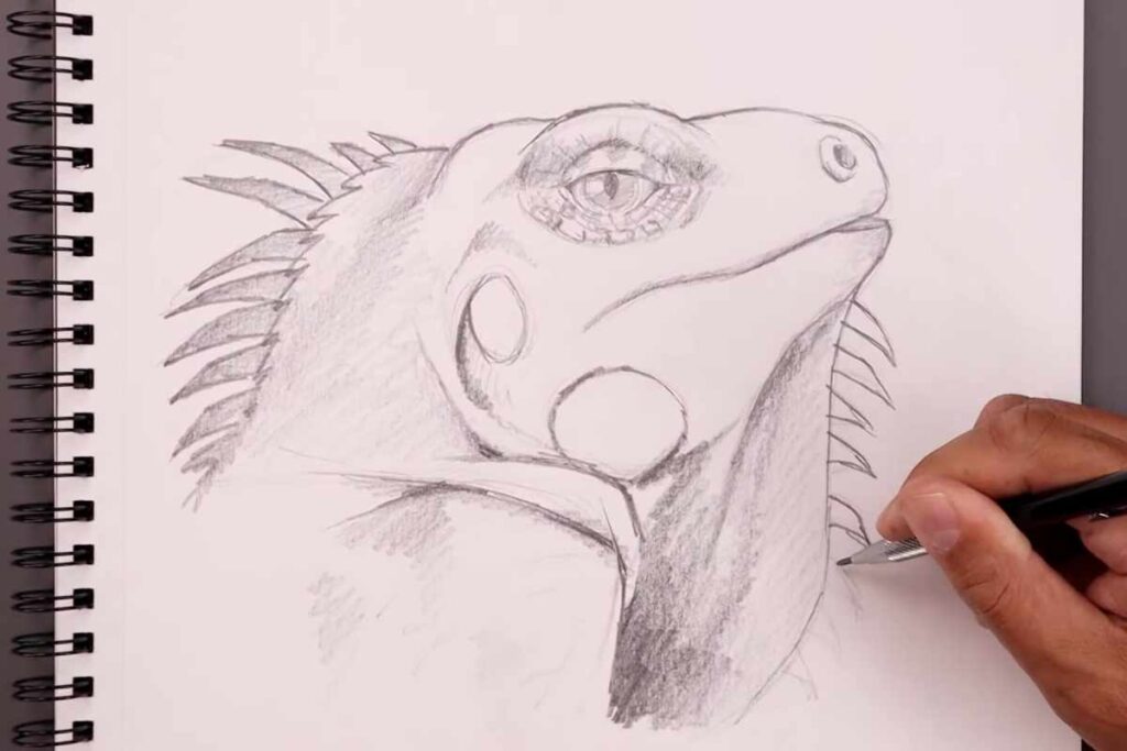 How to Draw an Iguana with Precision and Detail – Urbaki Art