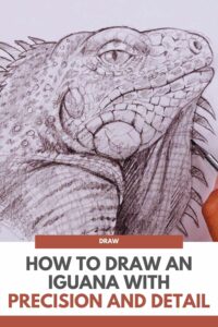 How to Draw an Iguana with Precision and Detail