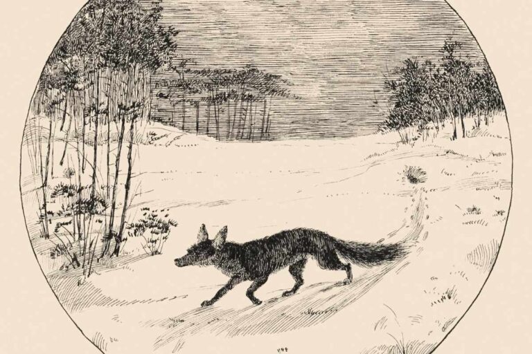 Drawing Animals in Action: Mastering Motion – Urbaki Art