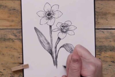 Easy Flower Drawing: Step-by-Step Daffodil Tutorial – Urbaki Art