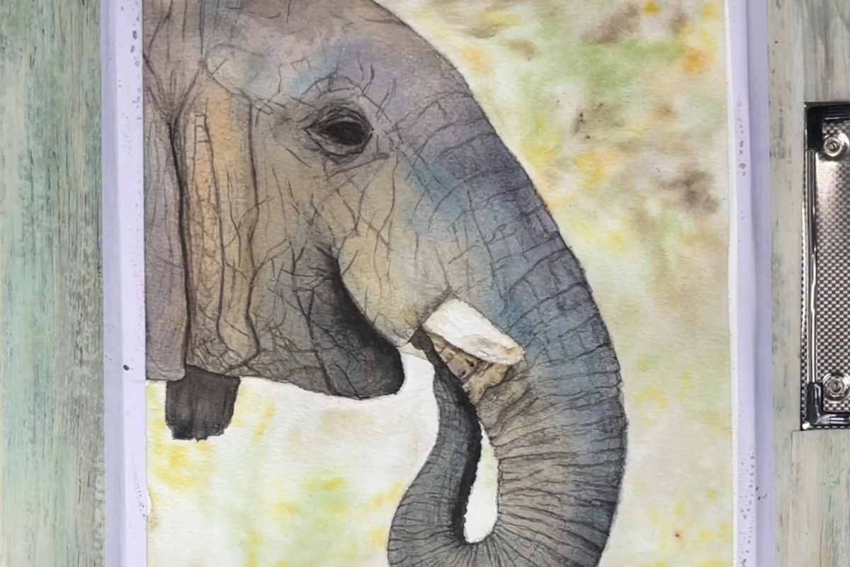 Step-by-Step Guide to Painting an Elephant with Watercolors