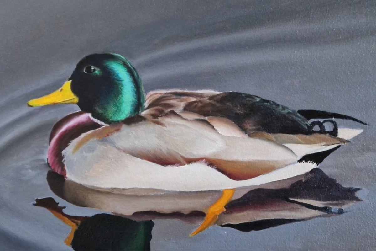 Oil Painting a Duck: Step-by-Step Video Tutorial – Urbaki Art