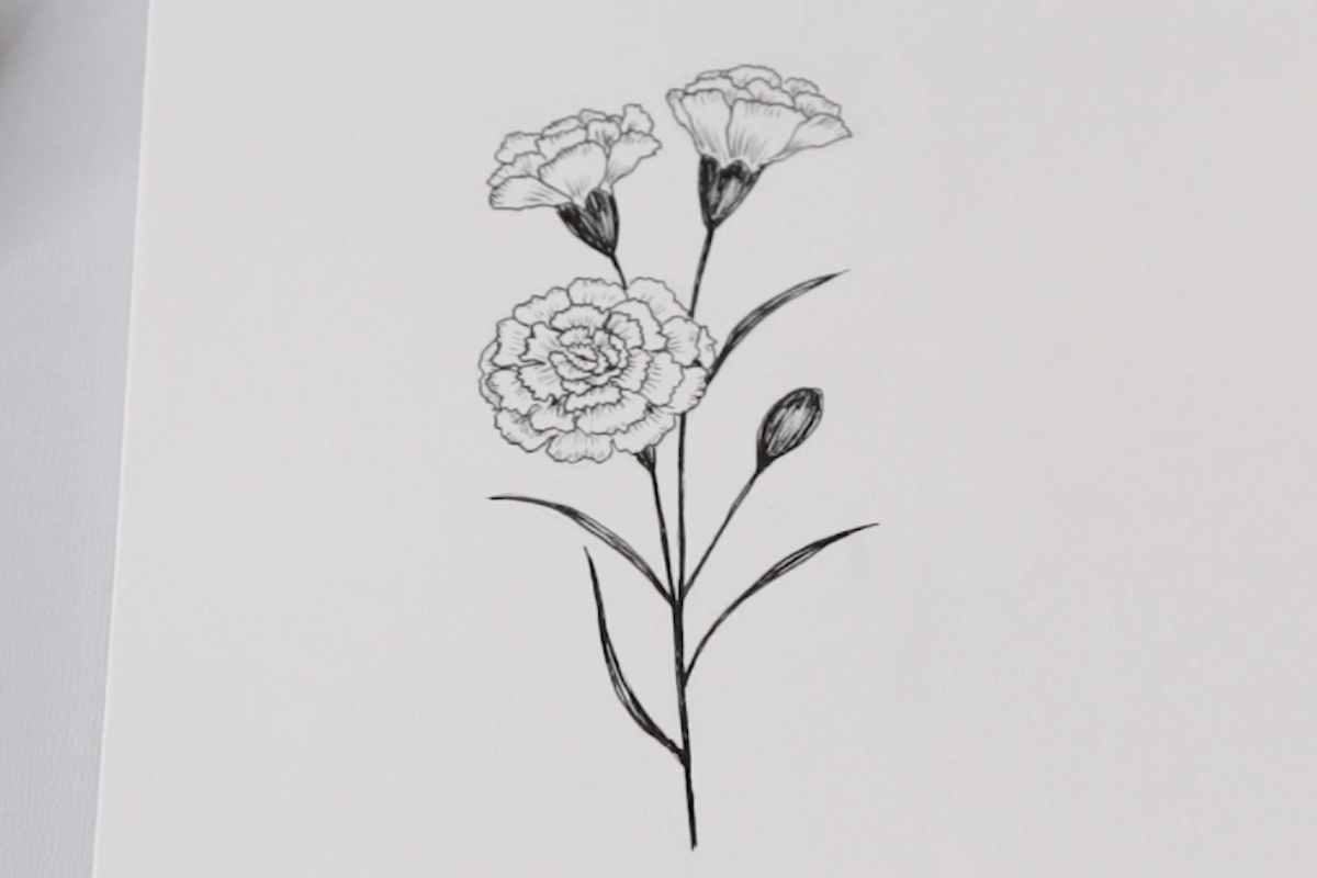Step-by-Step Tutorial: How to Illustrate Carnations in Detail