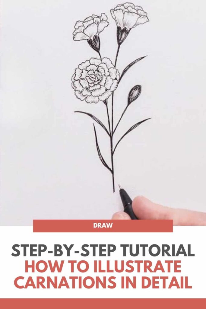 Step-by-Step Tutorial: How to Illustrate Carnations in Detail