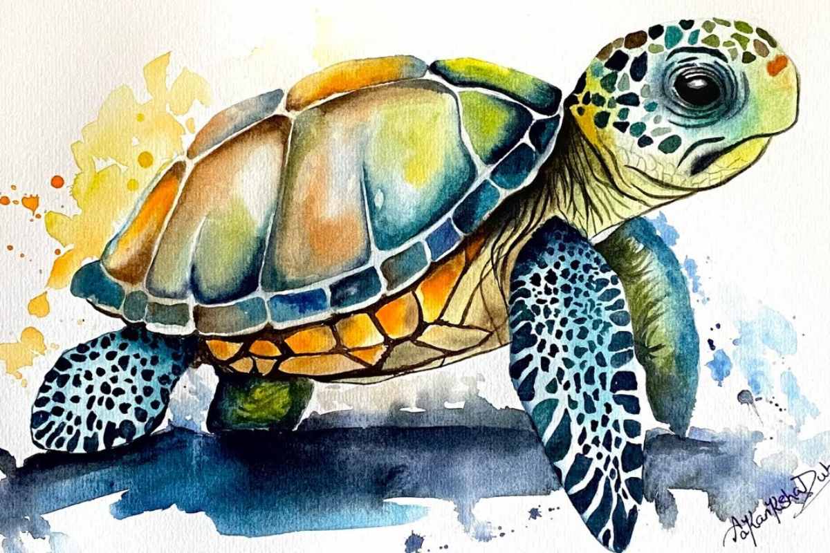 Step-by-Step Watercolor Tutorial: Painting a Beautiful Sea Turtle ...