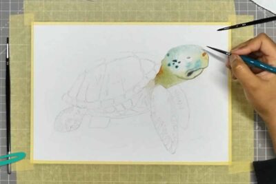 Step-by-Step Watercolor Tutorial: Painting a Beautiful Sea Turtle ...