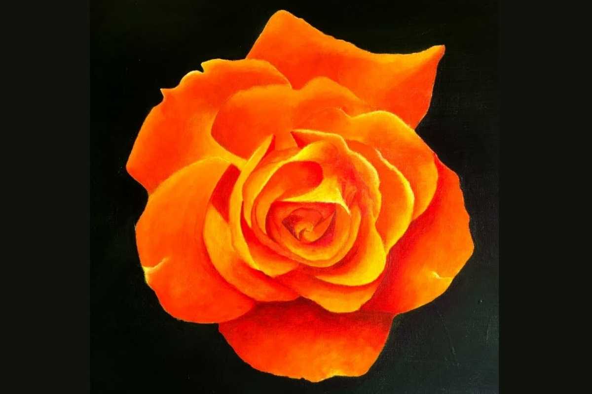 Rose Flower Acrylic Painting: Light & Shadow
